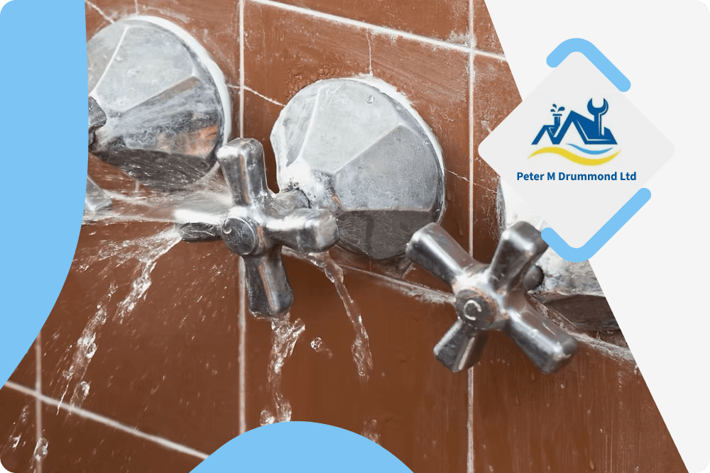 Case Study | Peter M Drummond Ltd